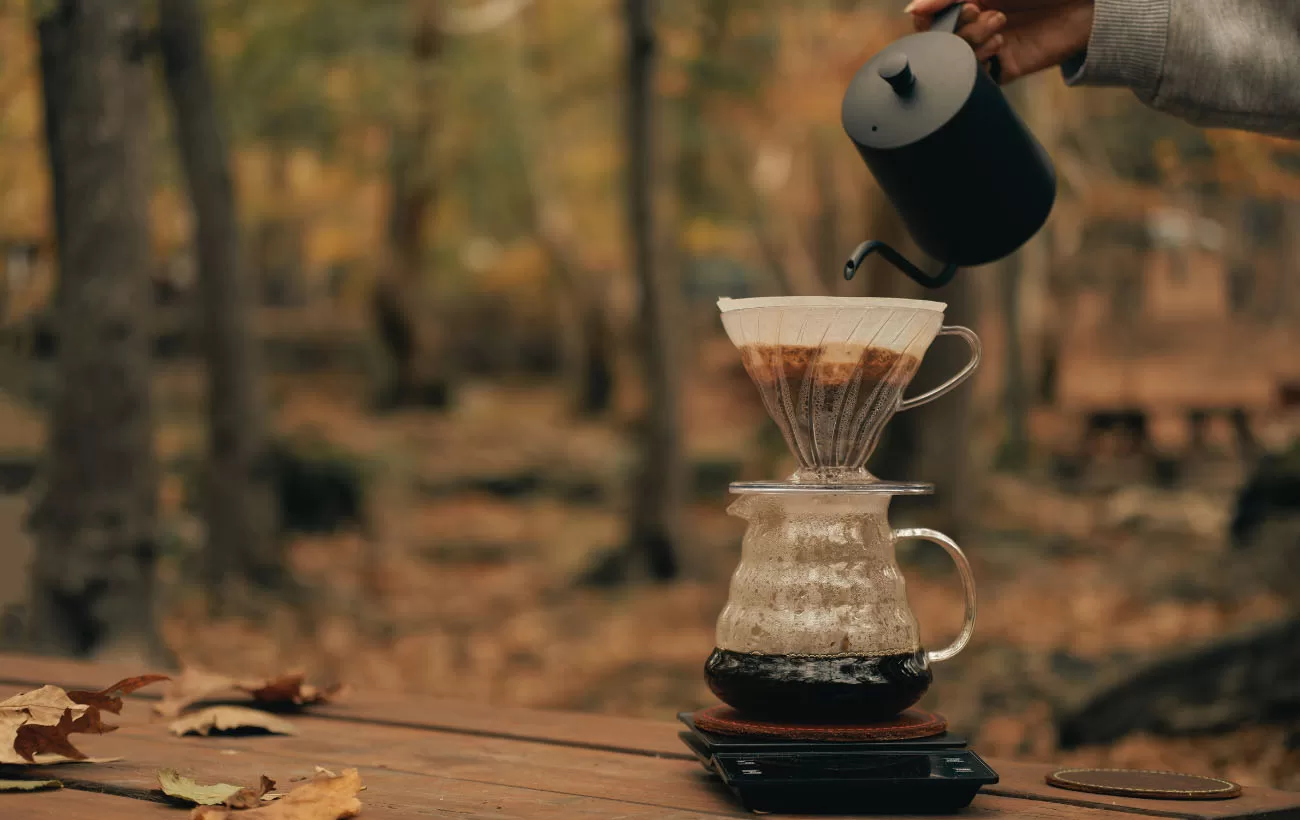 6 Coffee Brewing Methods To Try at Home – Mystique